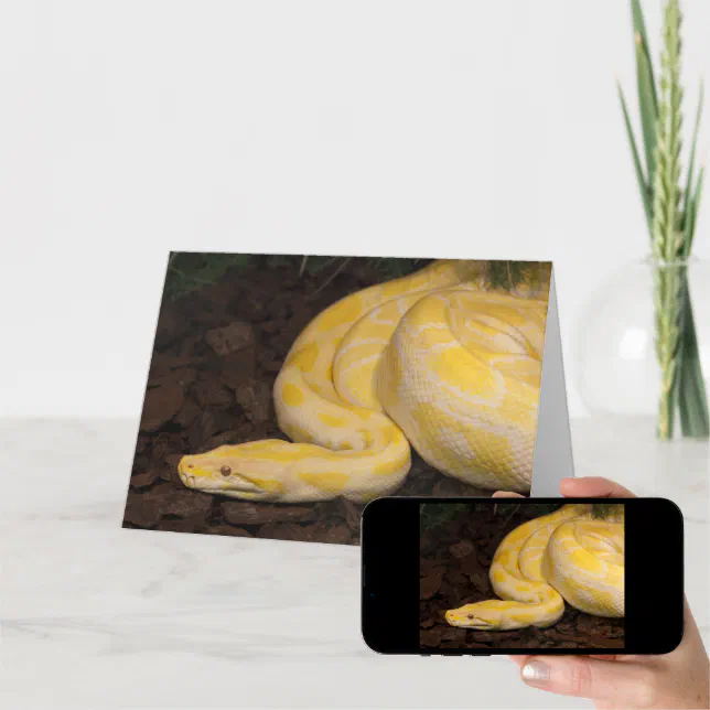 Awesome Yellow Burmese Python Card | Zazzle