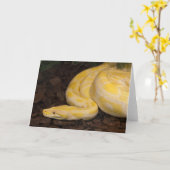 Awesome Yellow Burmese Python Card | Zazzle