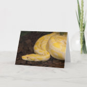Awesome Yellow Burmese Python Card | Zazzle