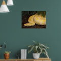 Awesome Yellow Burmese Python Poster | Zazzle