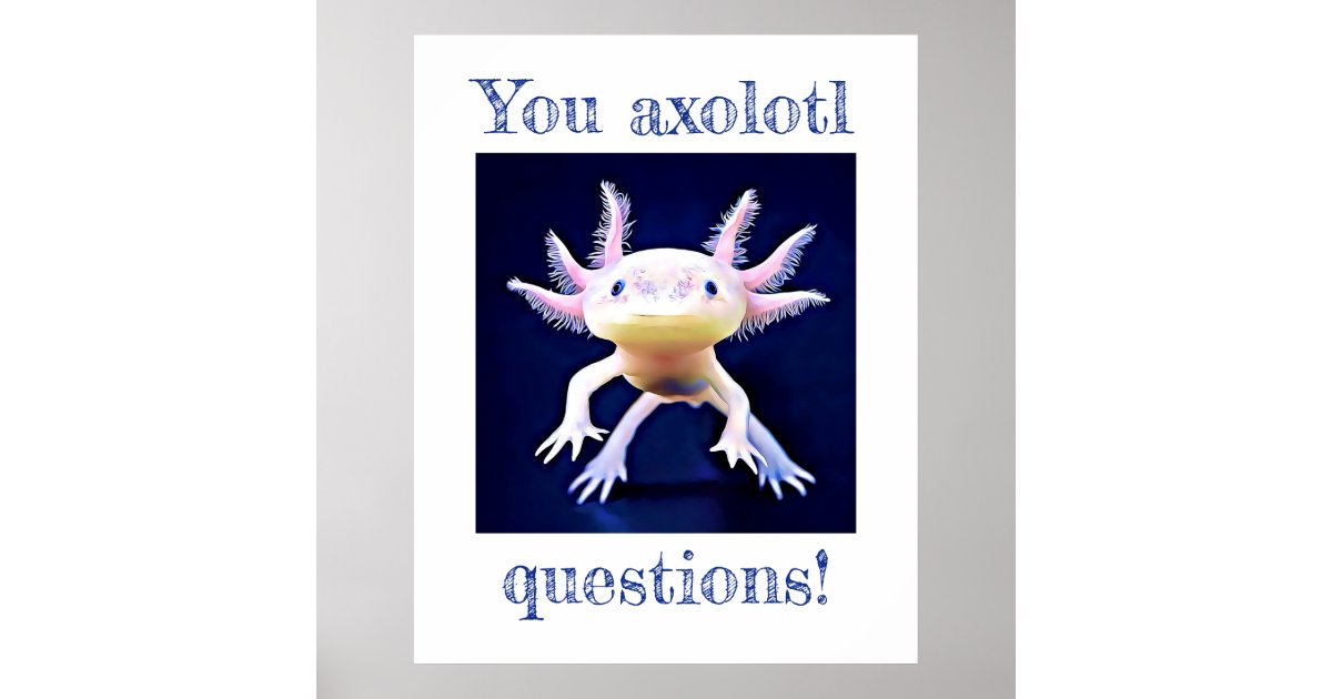 Axolotl Salamander Amphibian Poster | Zazzle