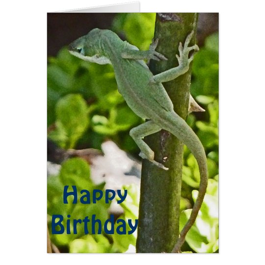 AZ- Chameleon Lizard Birthday Card | Zazzle.com