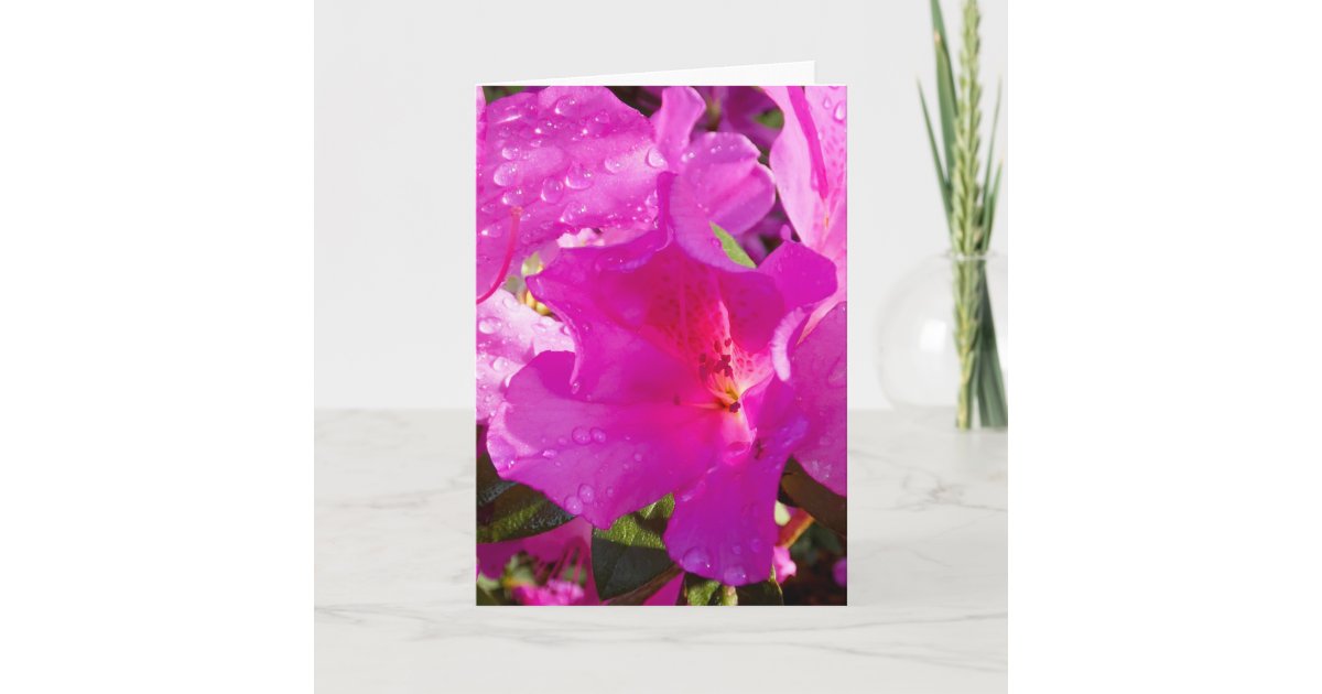 "Azalea 1." Greeting Card | Zazzle