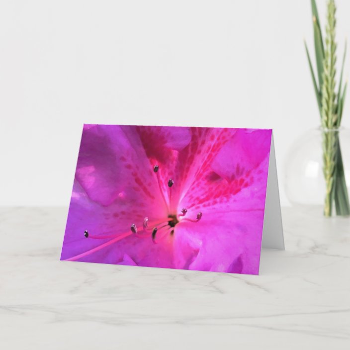 Azalea, card | Zazzle.com