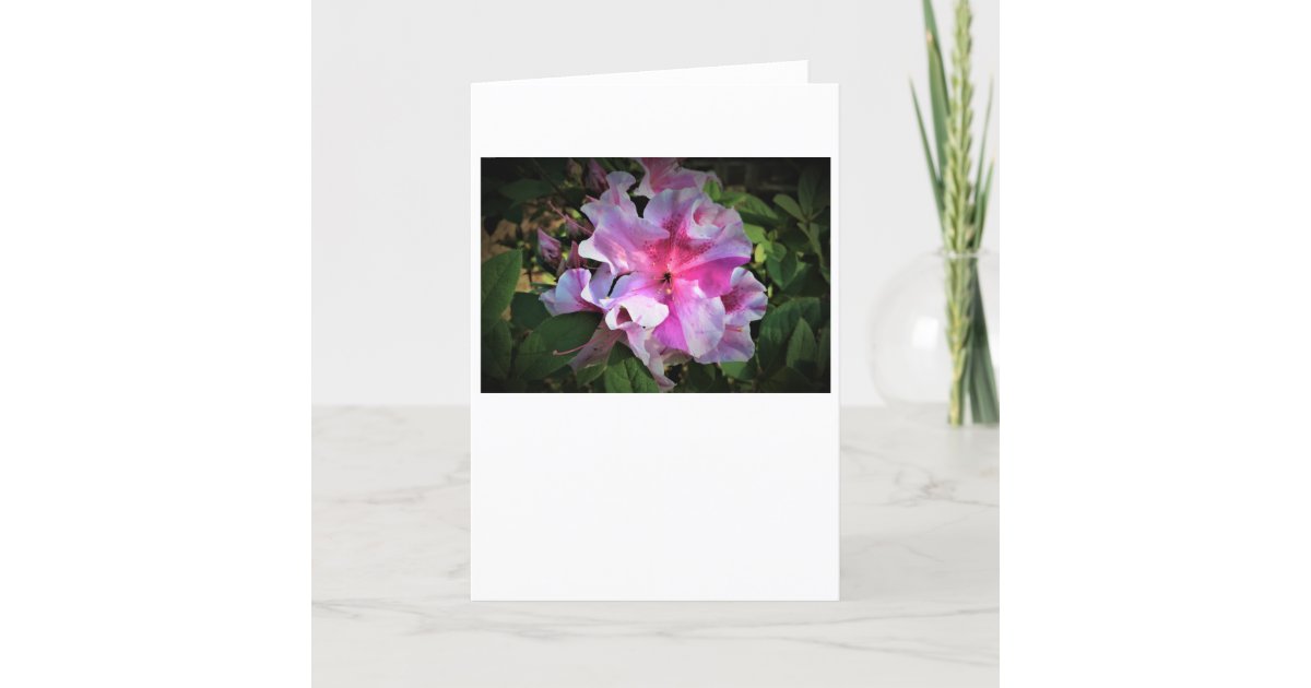Azalea, card | Zazzle