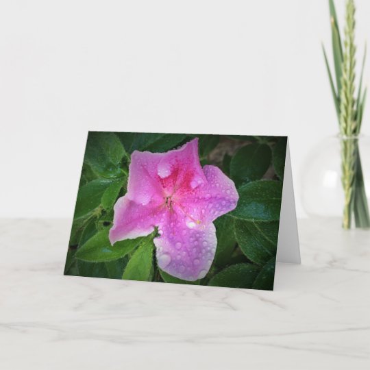 Azalea, card | Zazzle.com