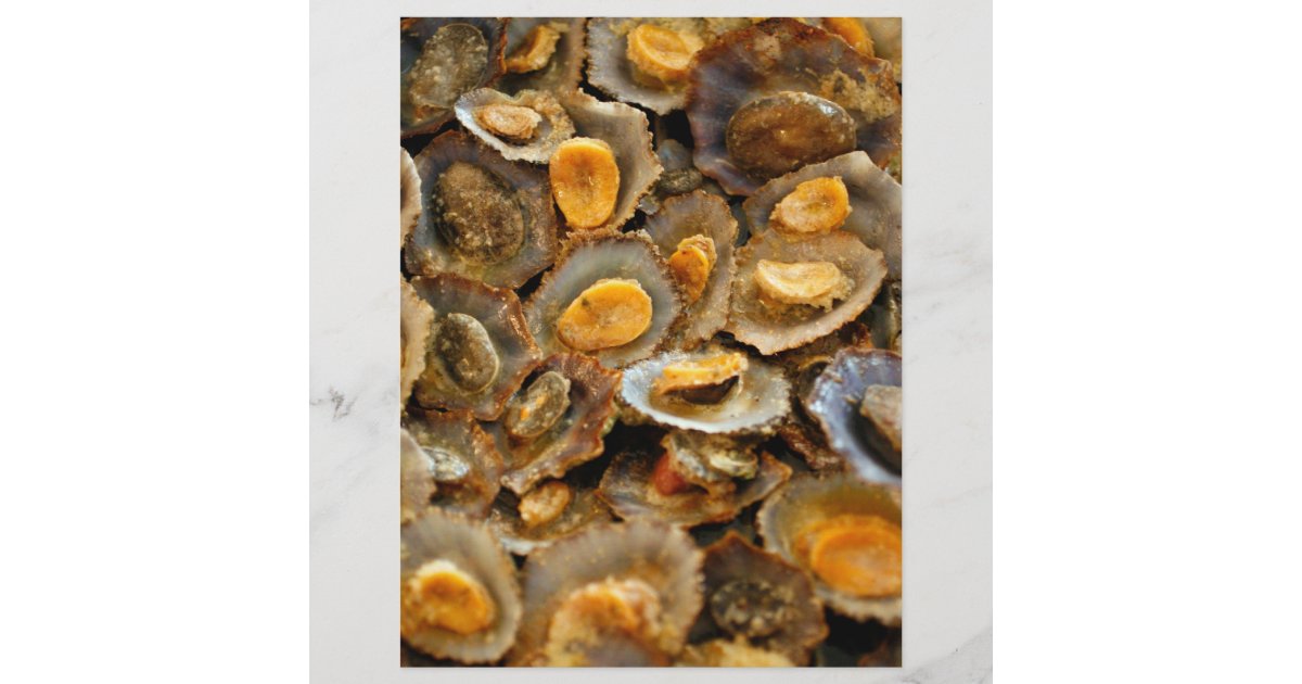 Azores limpets "lapas" flyer | Zazzle