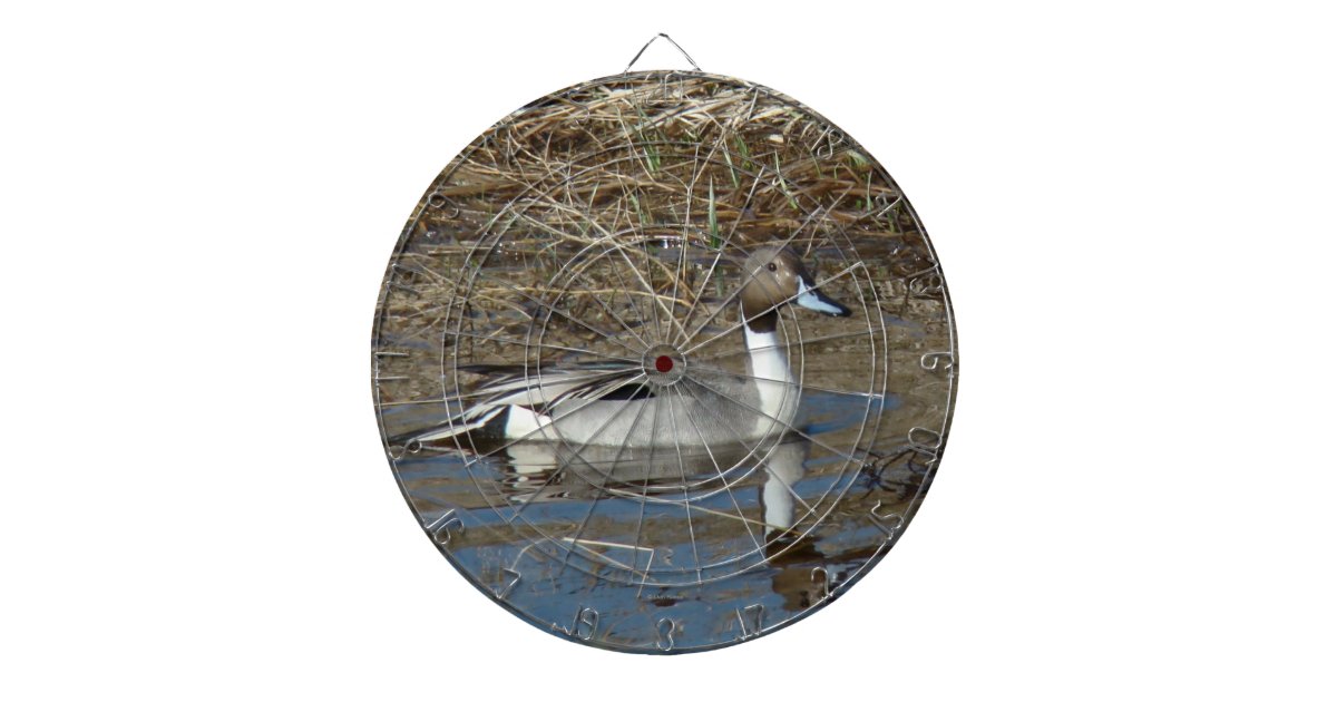 B5 Pintail Duck Drake Dart Board | Zazzle