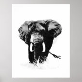 B&W Elephant Posters Prints | Zazzle