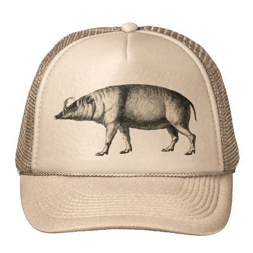 Babirusa Wild Pig Boar Hog Warthog Vintage Art Hat | Zazzle