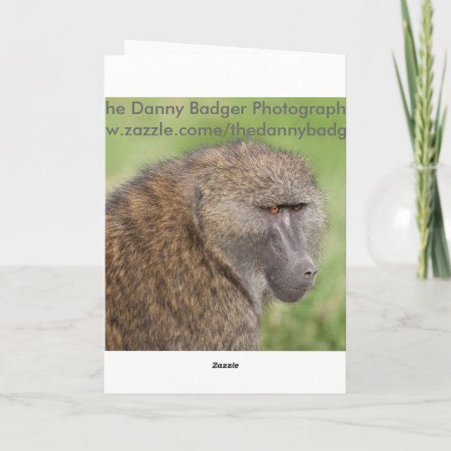 Baboon Inspection, Just Checking on you... Card | Zazzle