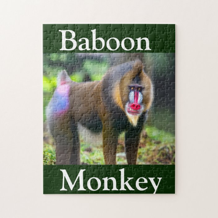 Baboon Monkey Jigsaw Puzzle | Zazzle.com