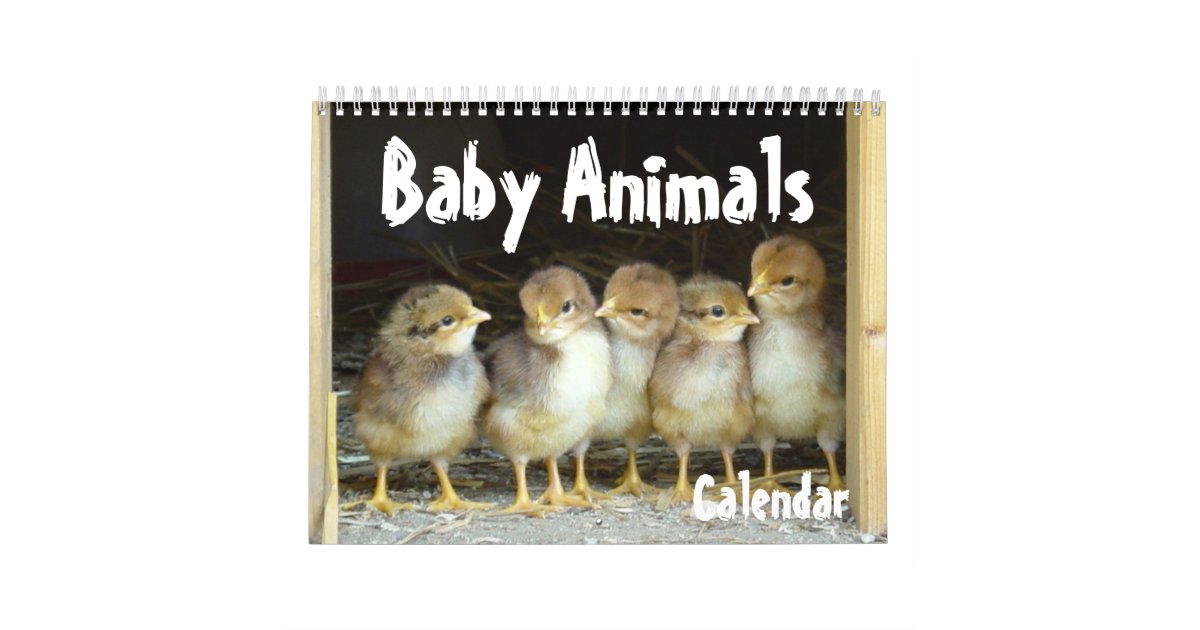 Baby Animals Calendar | Zazzle