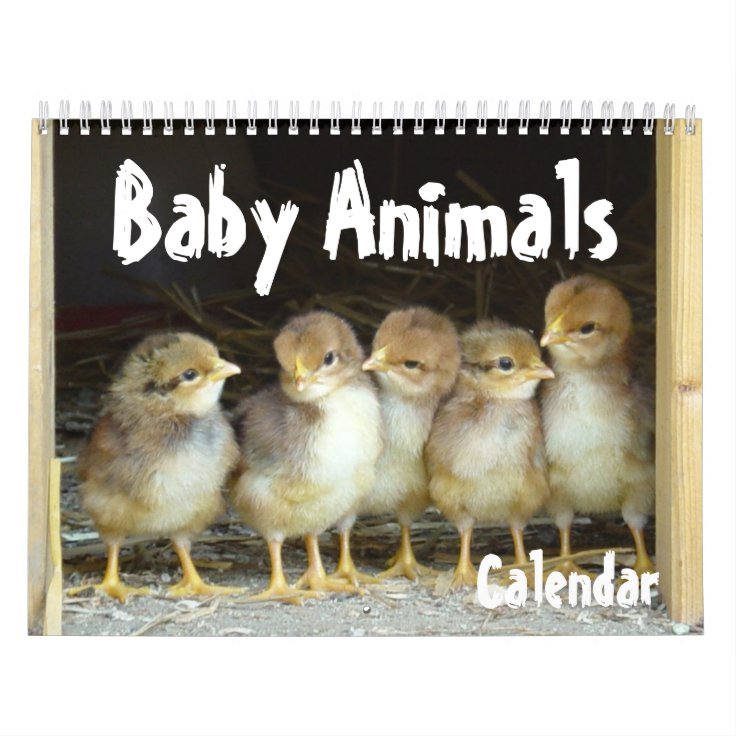Baby Animals Calendar | Zazzle