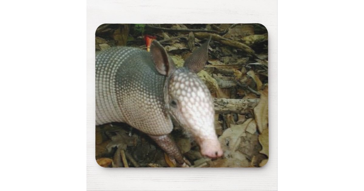 Baby Armadillo Mouse Pad | Zazzle