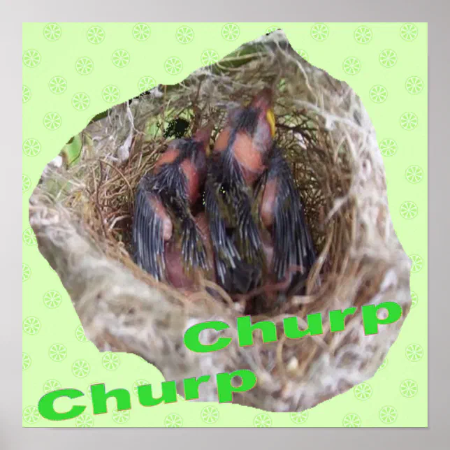 Baby Birds Poster | Zazzle