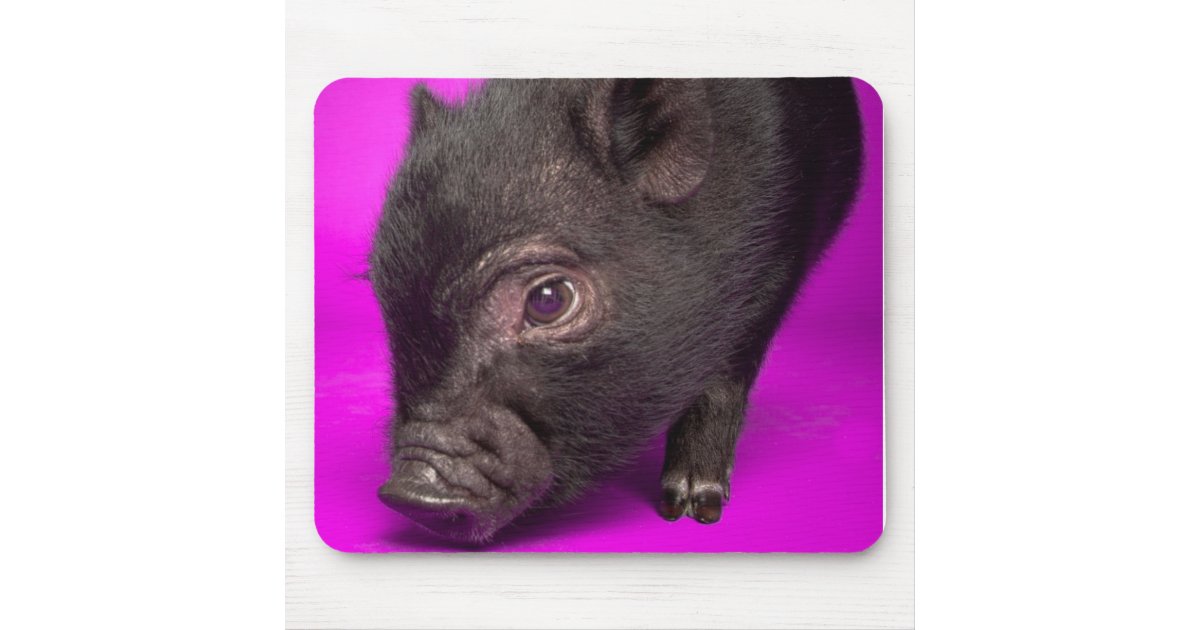 Baby Black Pig Mouse Pad | Zazzle