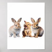 Baby Bunny Rabbit Nursery Poster | Zazzle