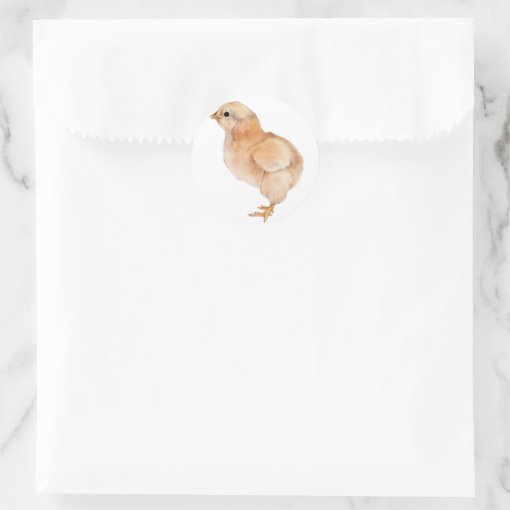 Baby Chick Sticker | Zazzle
