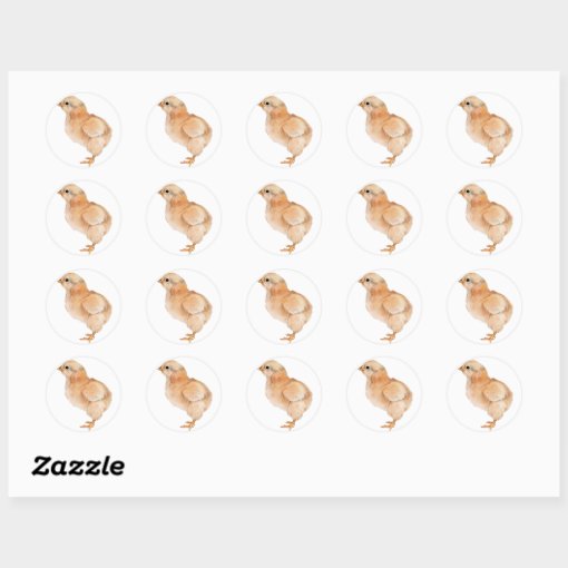 Baby Chick Sticker | Zazzle