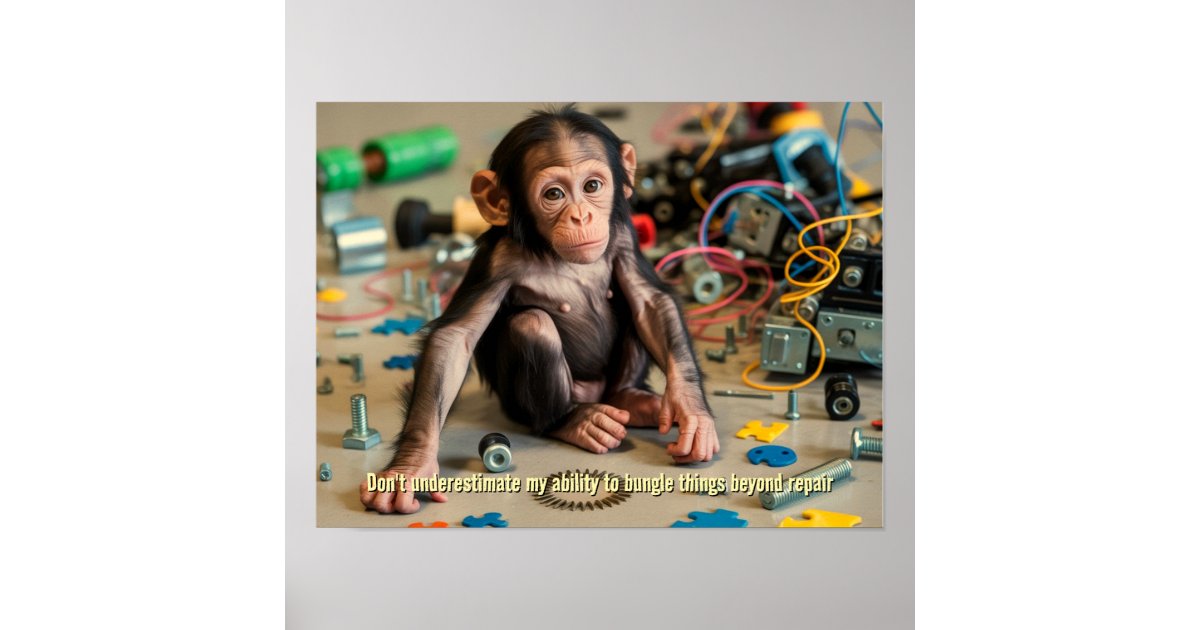 Baby Chimpanzee poster "Bungle" print funny | Zazzle