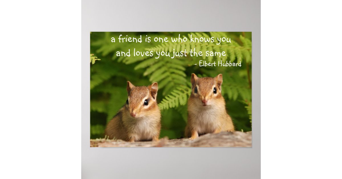 Baby Chipmunk Friends Quote Poster | Zazzle