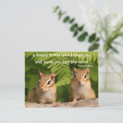 Baby Chipmunk Friendship Quote Postcard | Zazzle