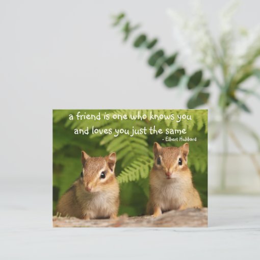 Baby Chipmunk Friendship Quote Postcard | Zazzle