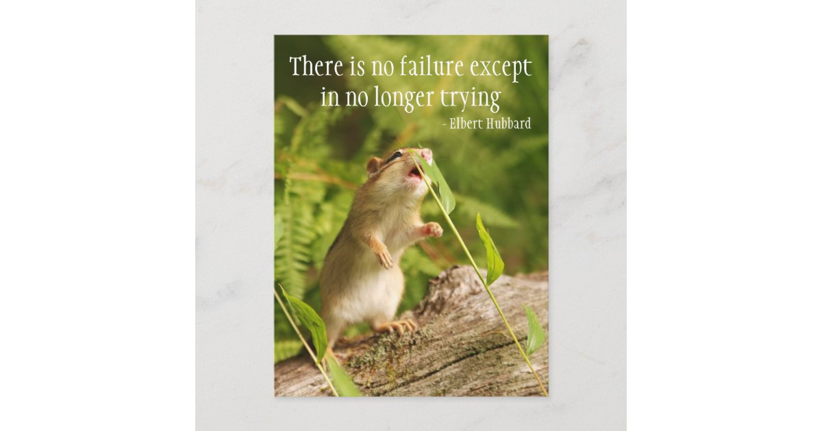 Baby Chipmunk Try Quote Postcard | Zazzle