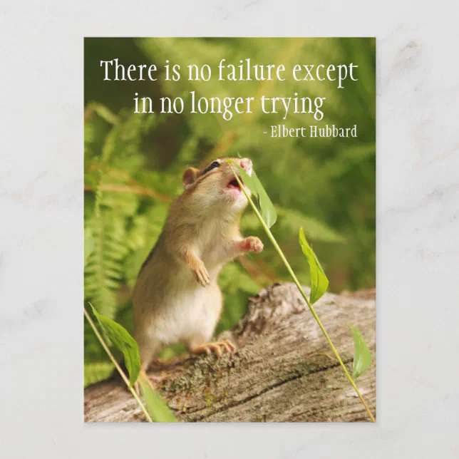 Baby Chipmunk Try Quote Postcard | Zazzle
