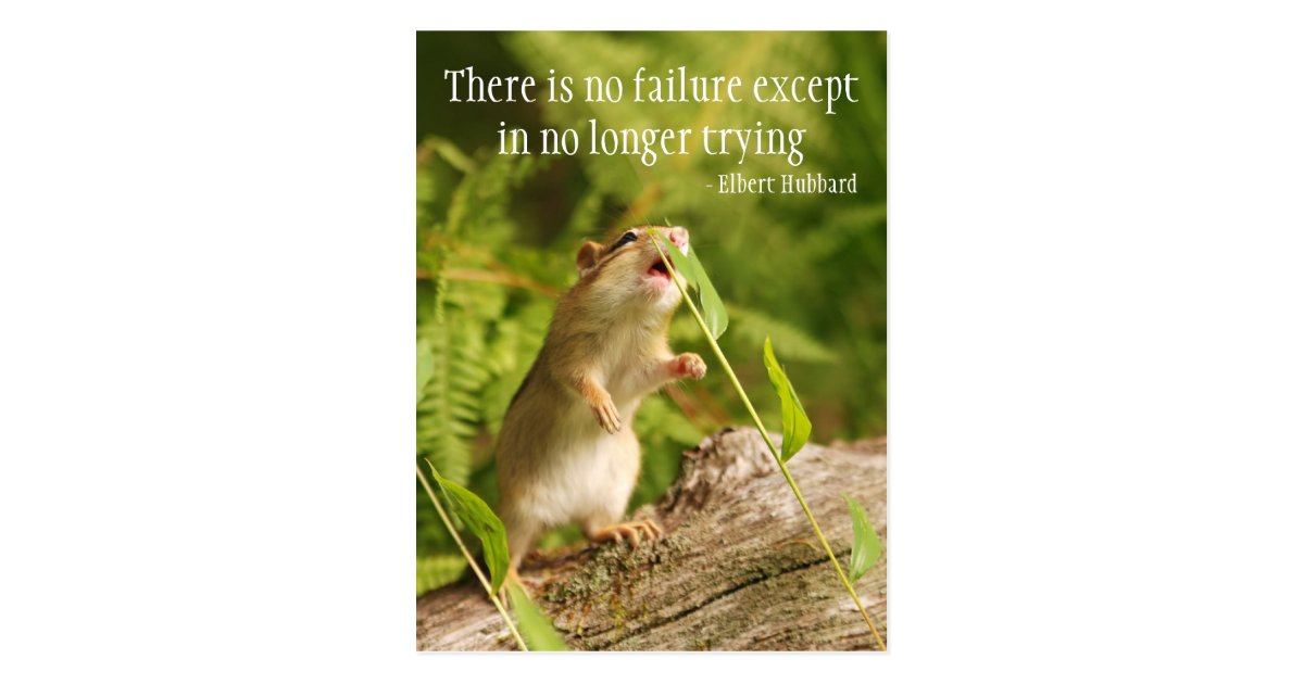 Baby Chipmunk Try Quote Postcard | Zazzle.com