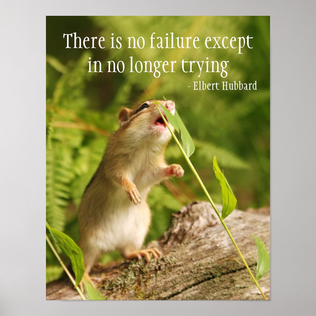 Baby Chipmunk Try Quote Poster | Zazzle