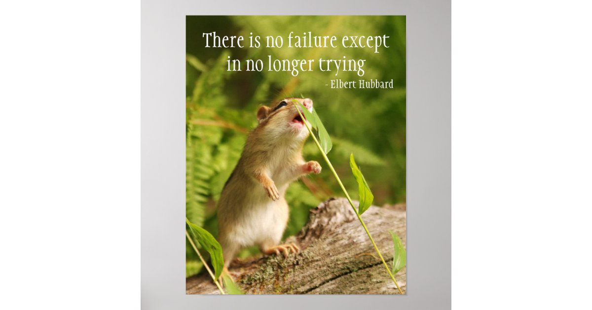 Baby Chipmunk Try Quote Poster | Zazzle