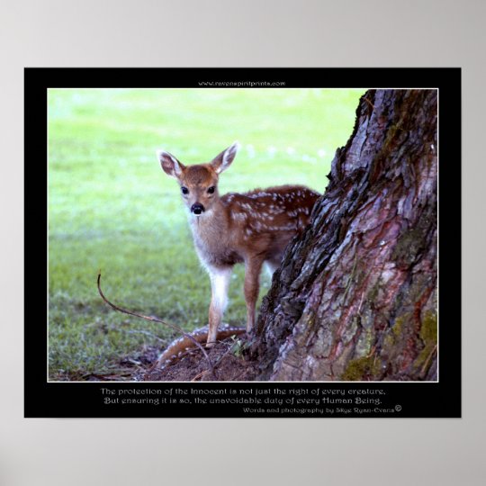 Baby Deer Fawn Photo & Poem Poster | Zazzle.com