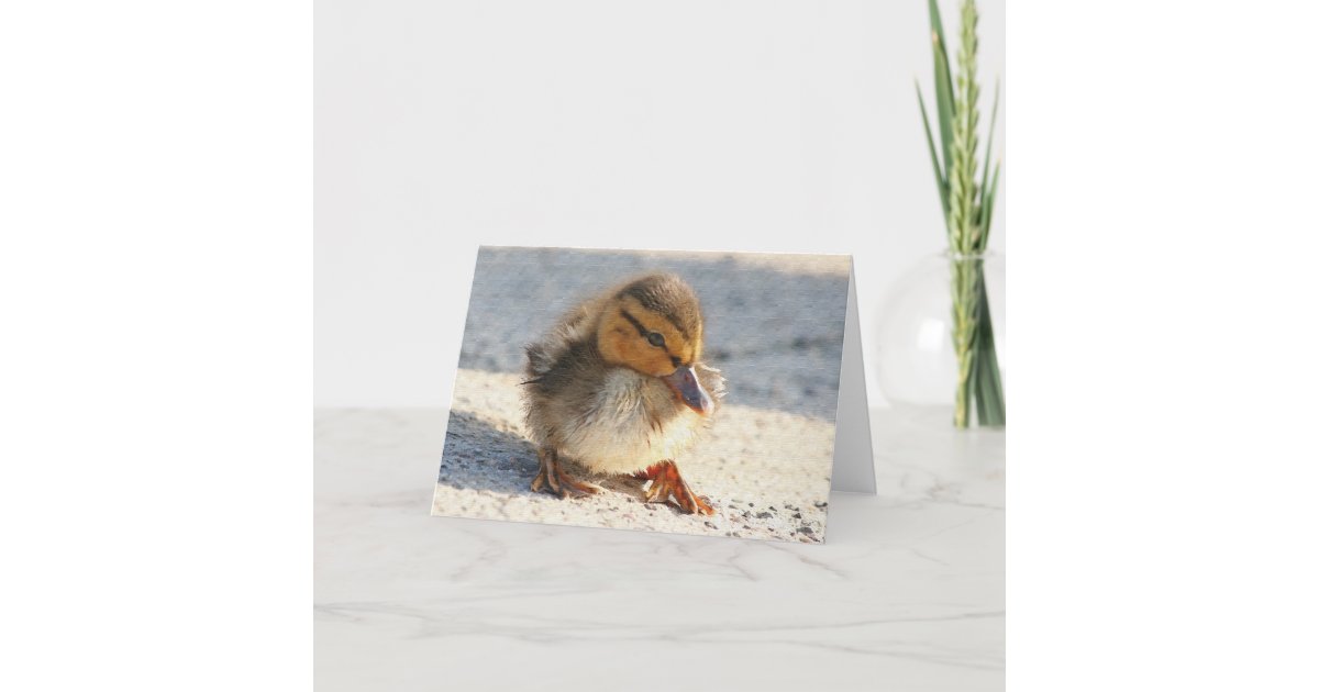 Baby Duck Duckling Card | Zazzle