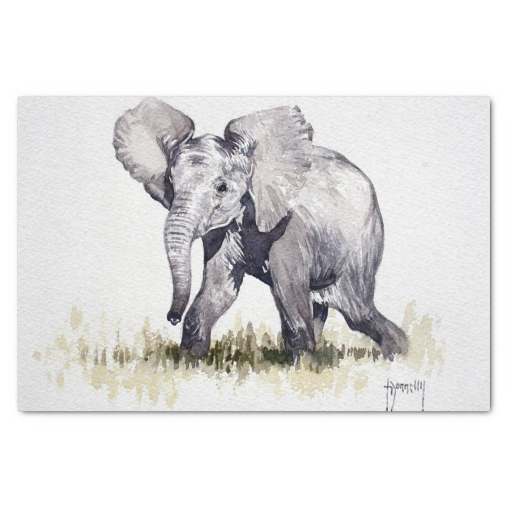 Baby Elephant Tissue Paper | Zazzle