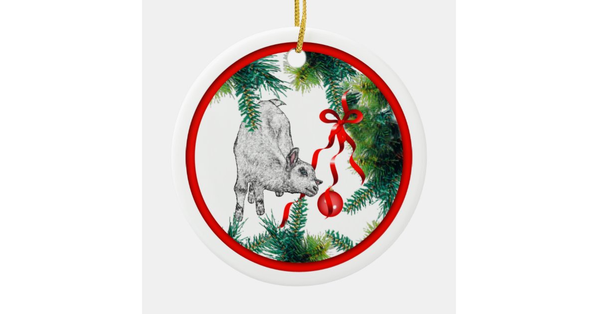 Baby Goat And Ribbon Ornament | Zazzle