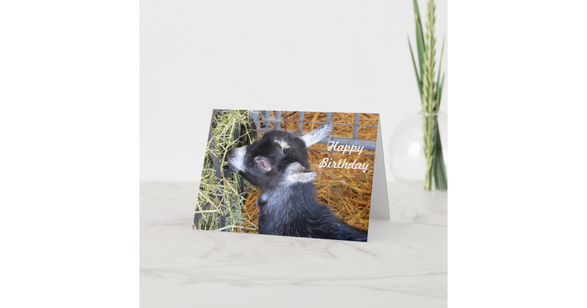 Baby Goat Hay Birthday Card | Zazzle