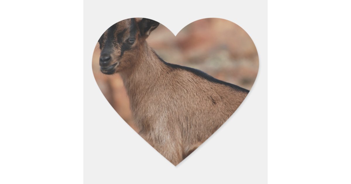 Baby Goat Heart Sticker | Zazzle