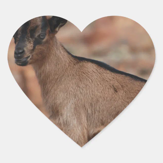 Baby Goat Heart Sticker | Zazzle