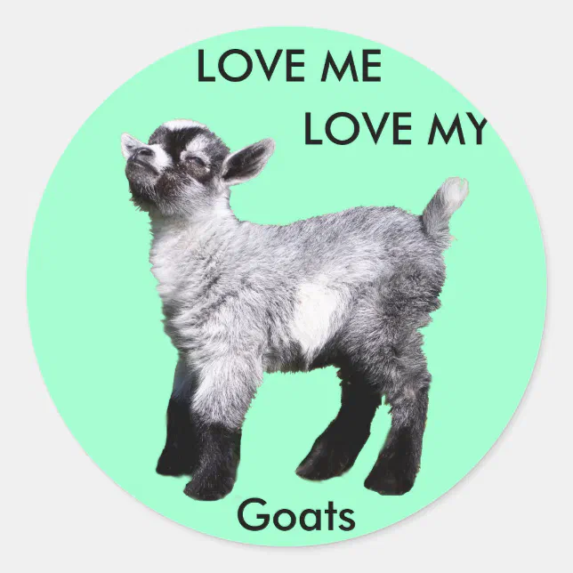 Baby Goat, Love Me Love My Goats Stickers | Zazzle