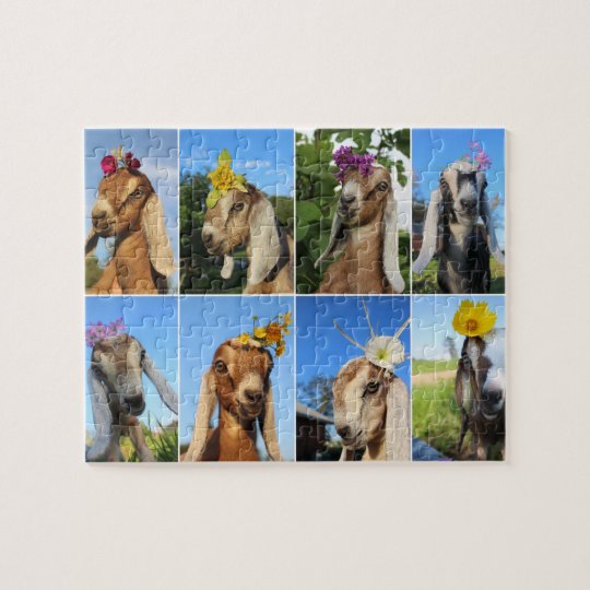 Baby Goat Puzzle | Zazzle.com