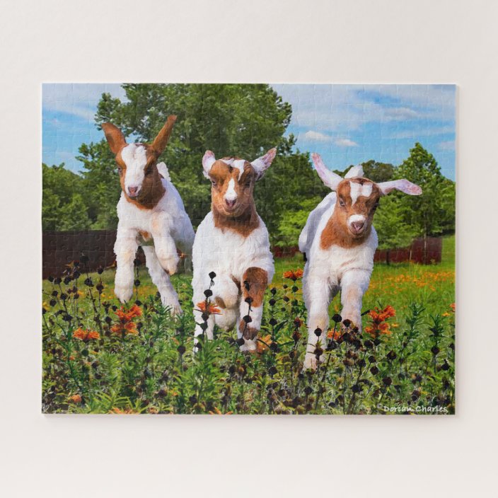 "Baby Goats" Jigsaw Puzzle | Zazzle.com