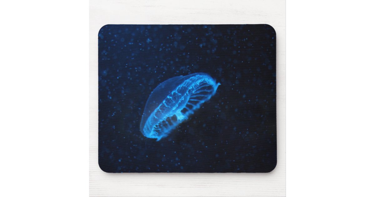baby jelly fish mouse pad | Zazzle