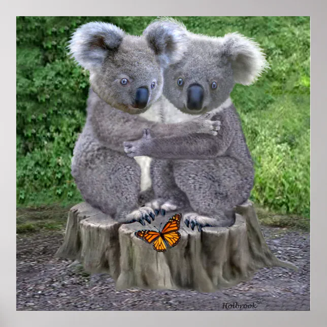 BABY KOALA HUGGIES POSTER | Zazzle