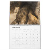 Baby Moose Calendar | Zazzle