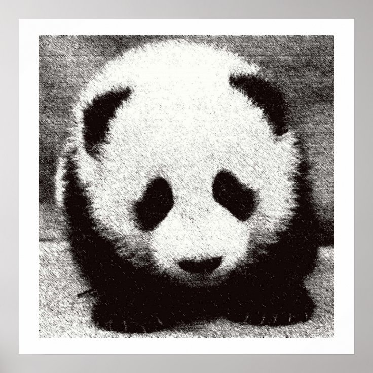 Baby Panda Artwork Posters Prints | Zazzle
