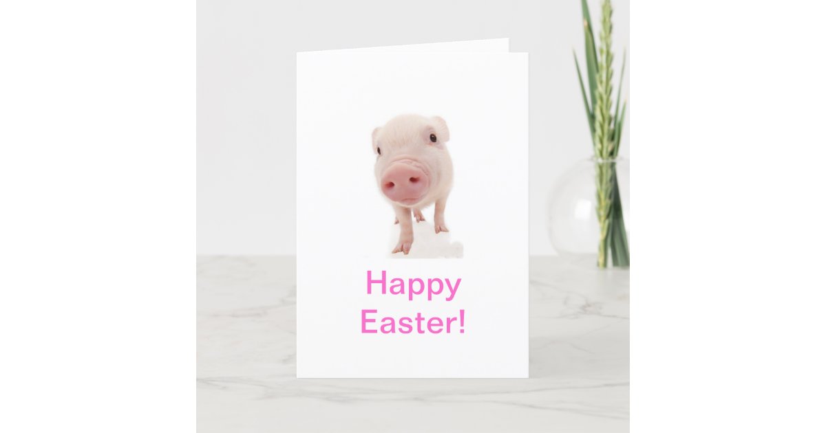 Baby Piglet Pig Easter Card | Zazzle