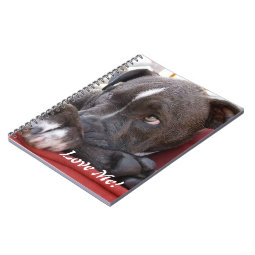 Baby Pitbull Puppies Notebook | Zazzle