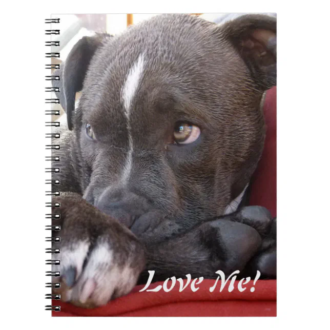 Baby Pitbull Puppies Notebook | Zazzle